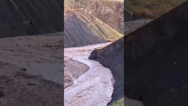 Живые звуки природы. Релакс