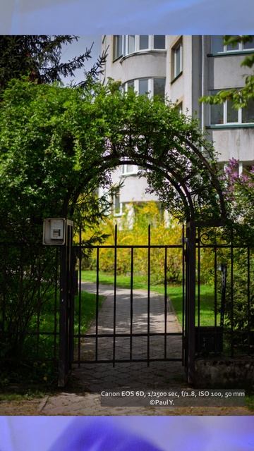 Canon 6D Обзор 2025 #Shorts