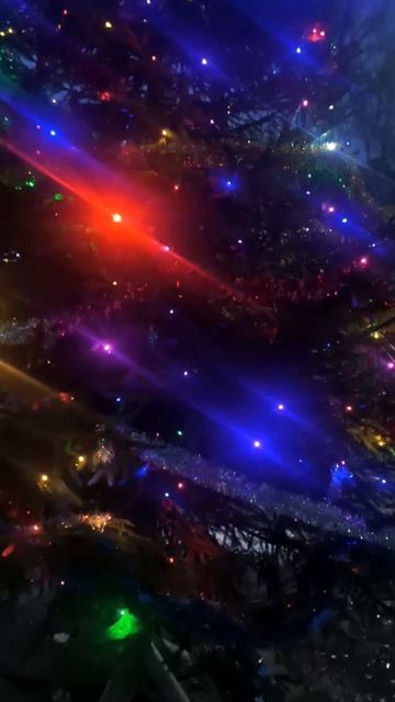 Огоньки на ёлке крупным планом