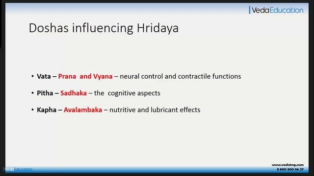 Отрывок лекции "Топ 5 аюрведических средств для здоровья сердца по Дошам"