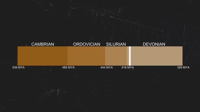 Эволюция: Что мы знаем о пауках?