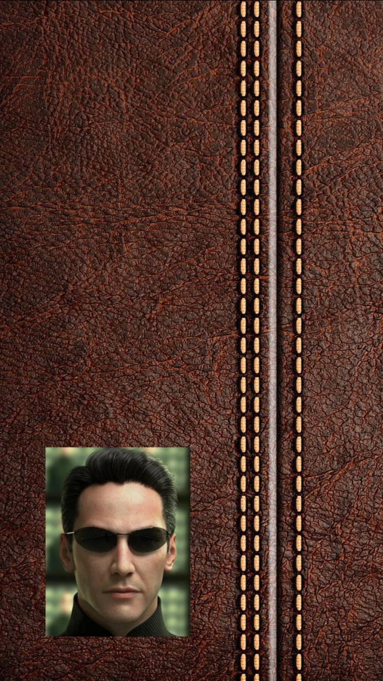 АВТОР - Revolux IA