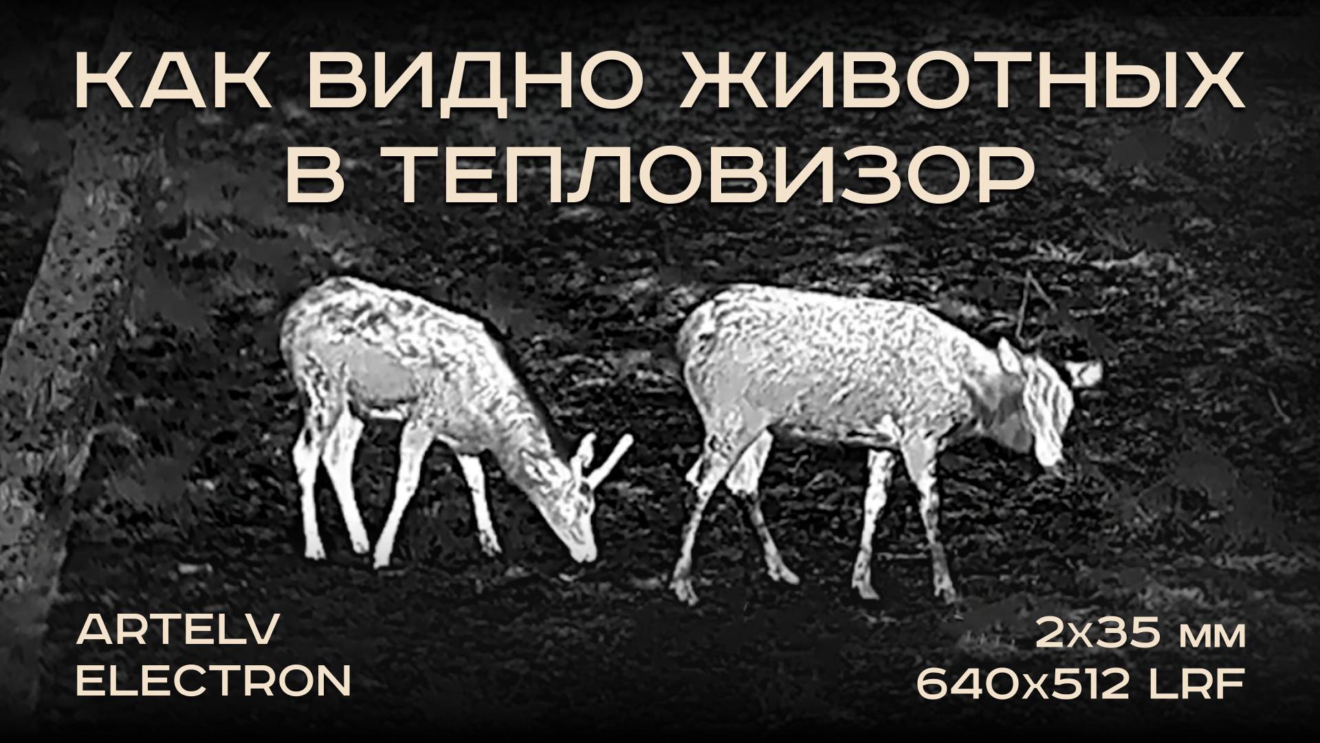 Как видно животных в тепловизор ELECTRON 2х35 мм 640х512 LRF