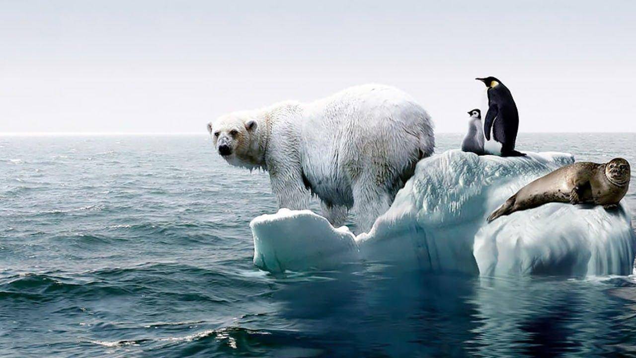 Мифы и проблемы «Глобального потепления»