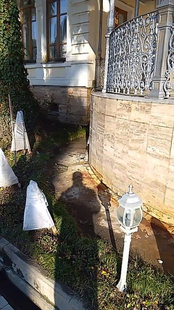 Сочинской национальный парк  "Дендрарий" - Дом-музей С. Н. Худекова - Вилла "Надежда"