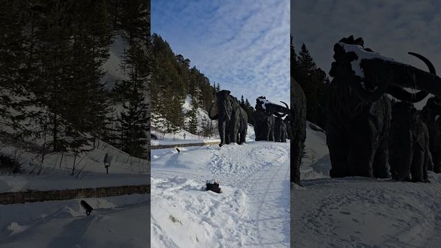 Мамонты Ханты-Мансийск