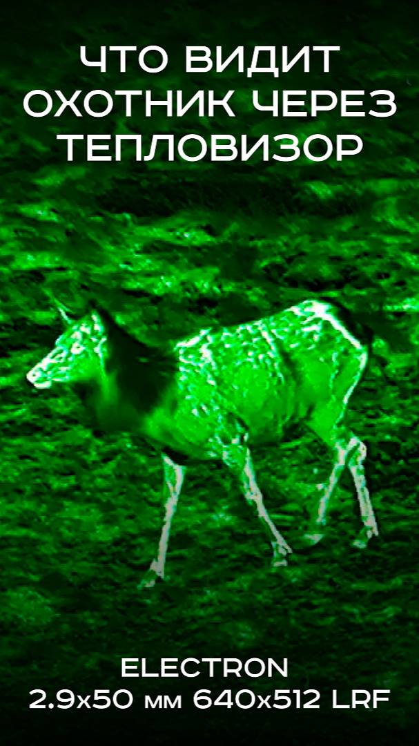 Что видит охотник через тепловизор ELECTRON 2.9x 50мм 640x512 LRF