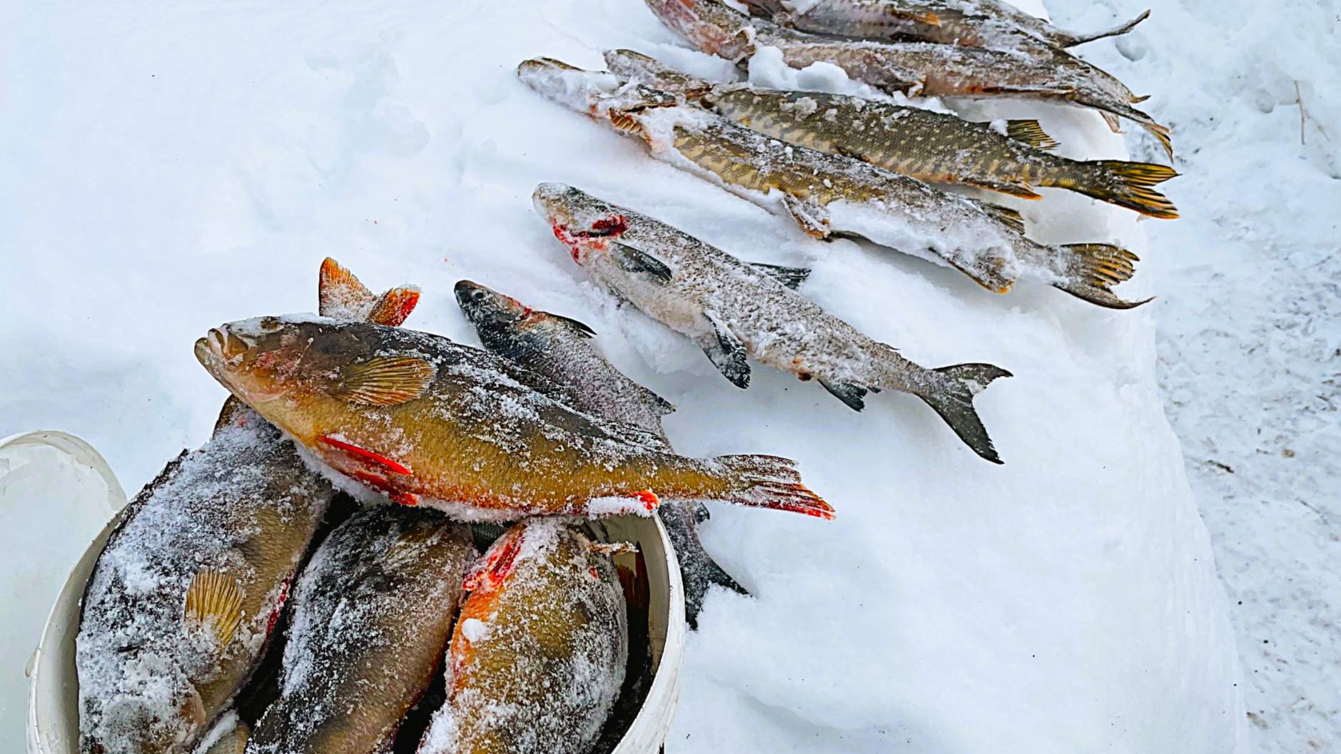 НЕ МОЖЕМ уйти со льда!