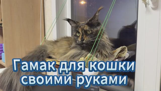 Гамак для кошки на окошко