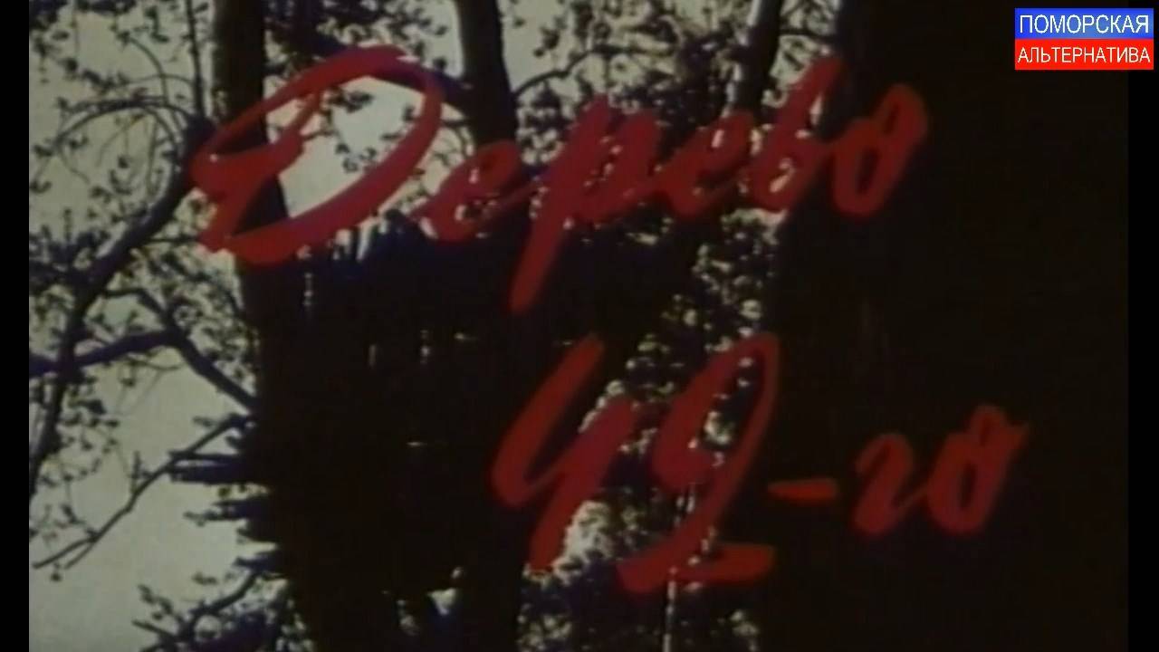 «Дерево 42-го», документально-игровой фильм. #ЗвездаПобеды (07.05.2025)_7 [12+].