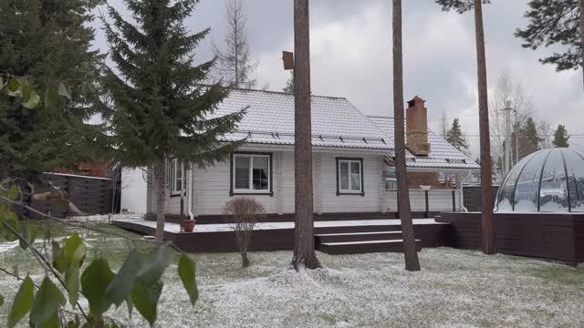 Что растёт в теплице в начале ноября. Как сохраняю свежую зелень