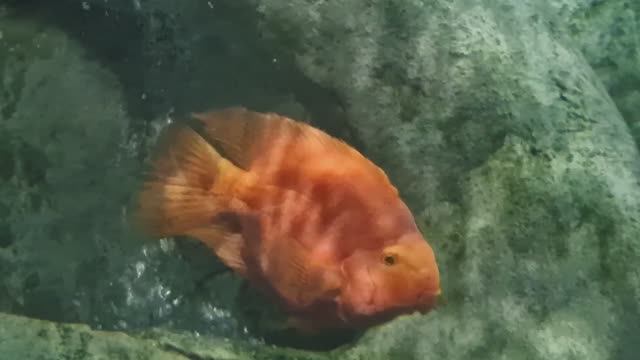 Океан в гостях у нас, мы в гостях у океана.