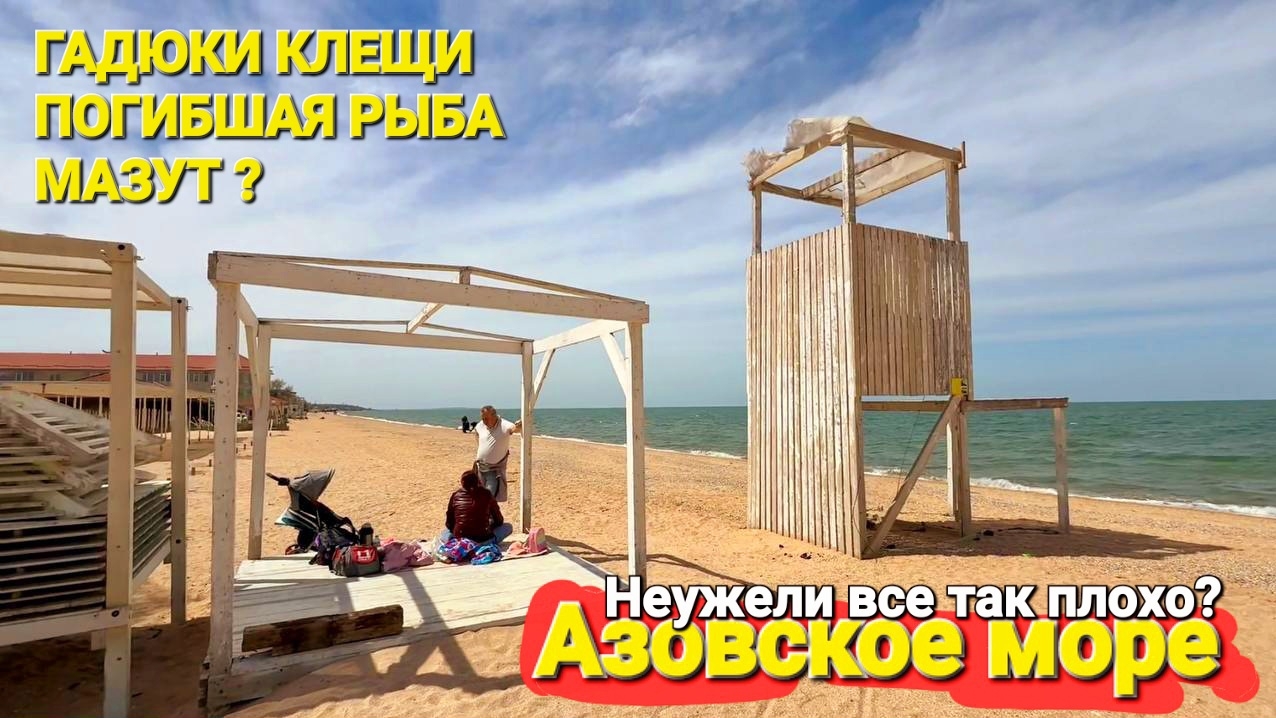 Клещи, гадюки, рыба и дельфины. Как же тут отдыхать, с мазутом? Голубицкая - Темрюк 2025