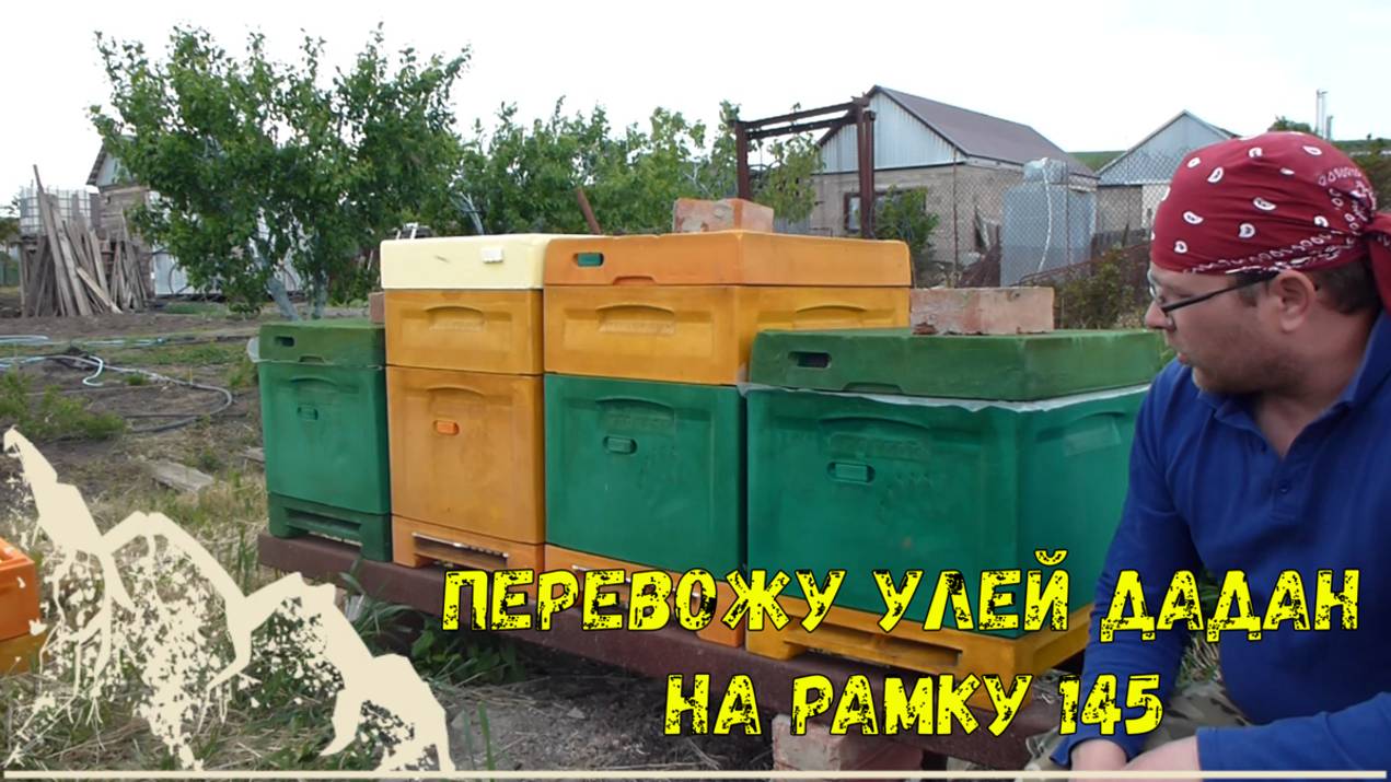 Переводим улей с рамки дадан на рамку 145