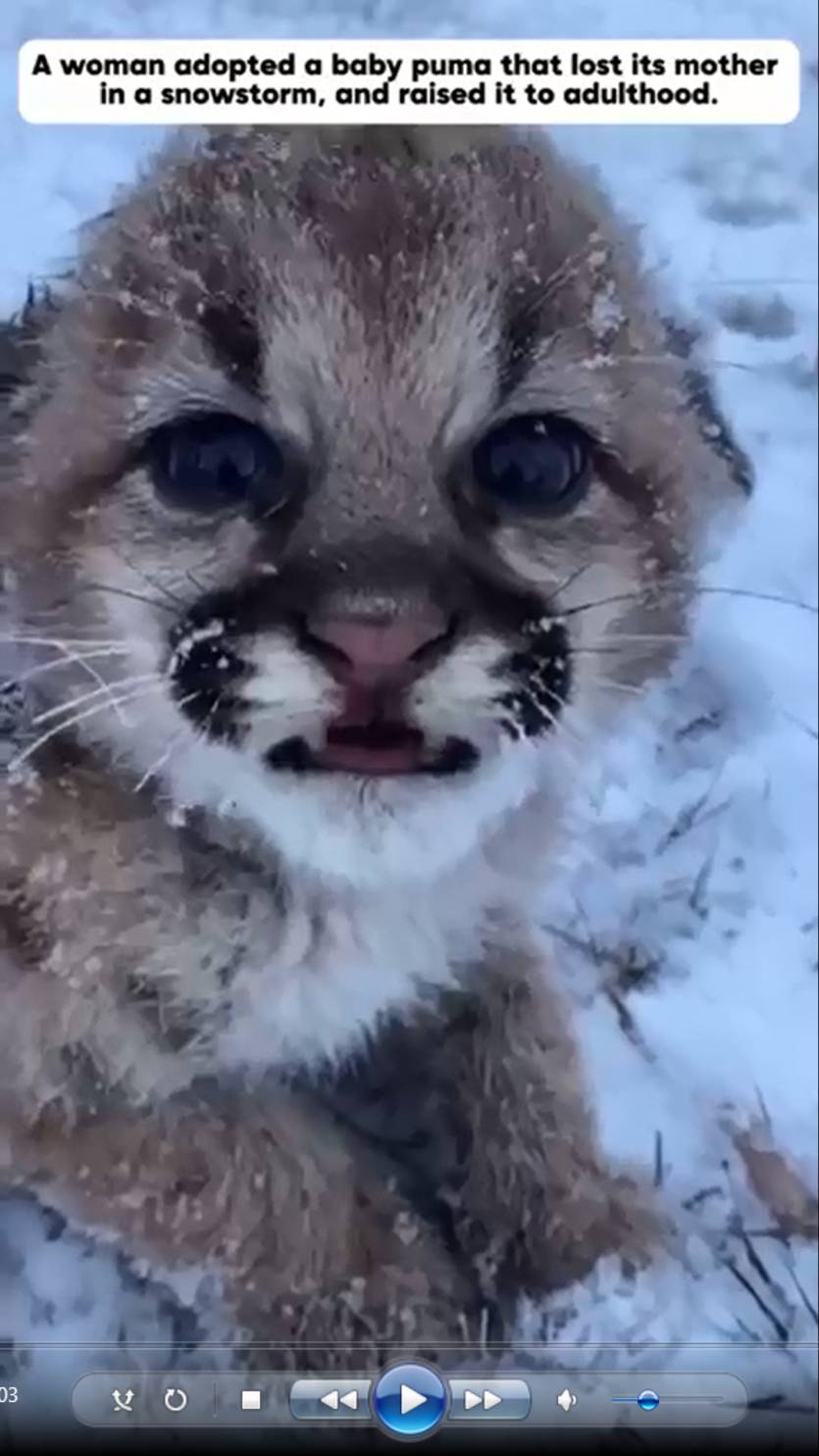 Мир не без добрых людей ! 5