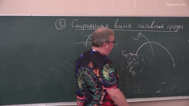 Павловский О.В. - Введение в динамику сложных систем - 12. Основы кинематики автоволн