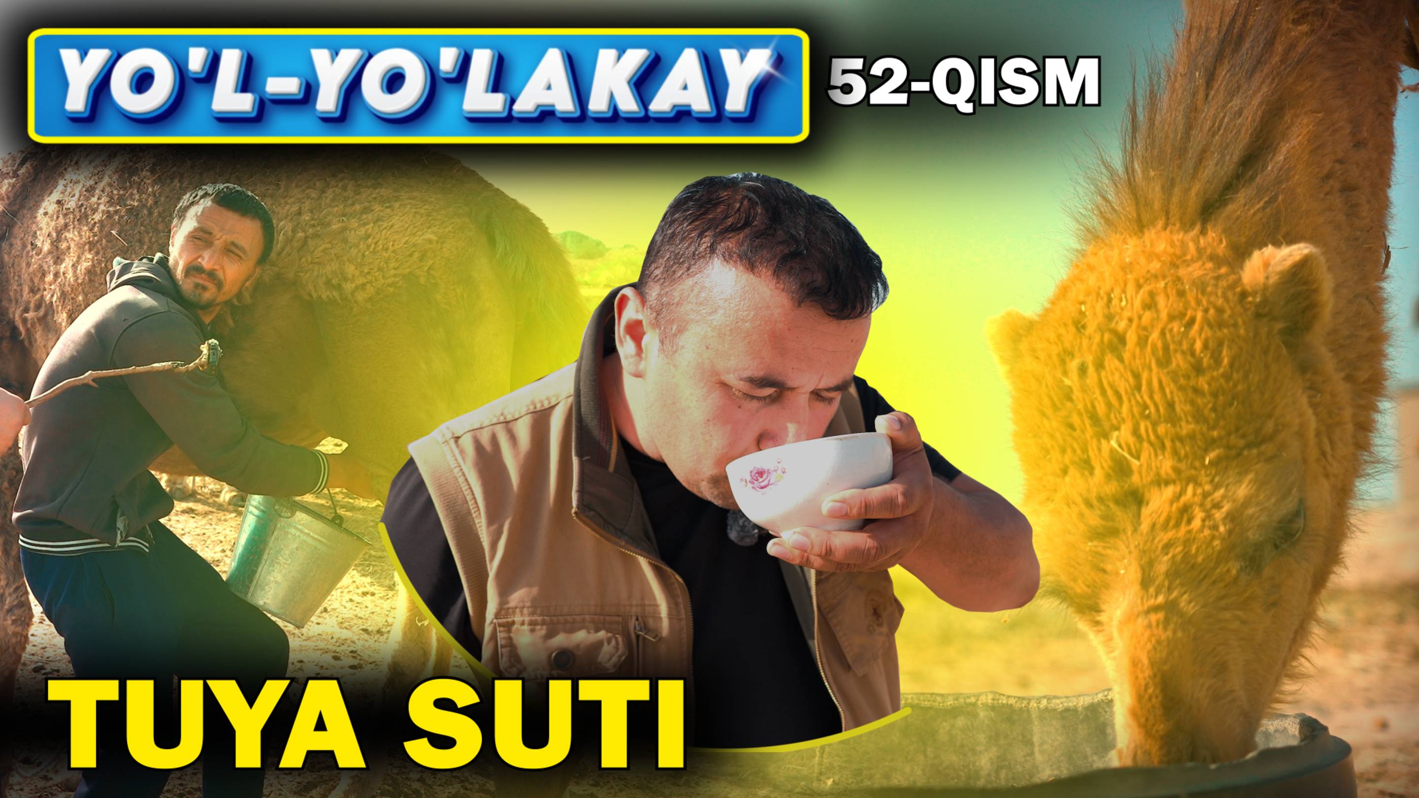 YO’L YO’LAKAY 52-qism TUYA SUTI FOYDASI. (QASHQADARYO)