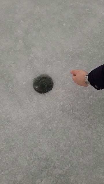 попался маленький щупак