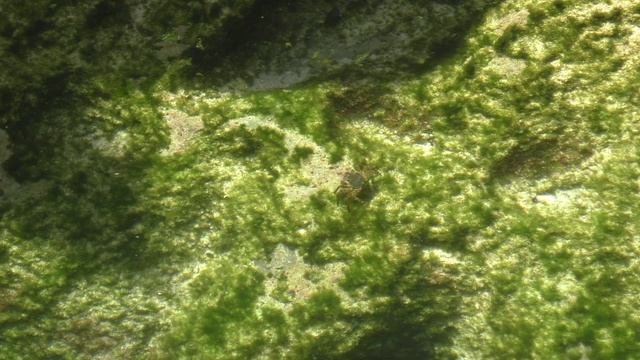 Смотровая площадка Angel’s Billabong на острове Nusa Penida