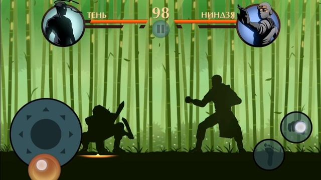 Бой с тенью-7.