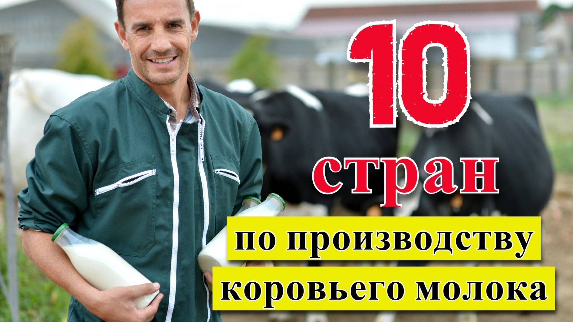 МОЛОКО: ТОП 10 стран по производству коровьего молока