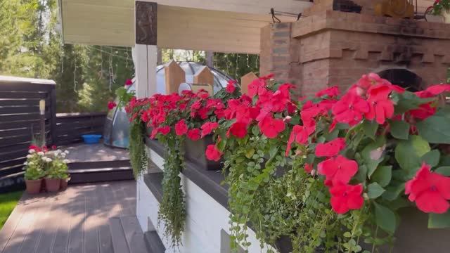 Готовим пасту со сливочным соусом. Обзор дачного участка 6 сентября