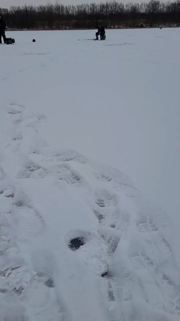 когда рыба не клюёт !