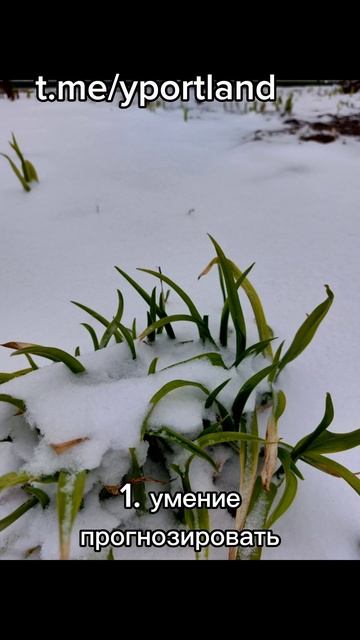 Сиресс - 4 условия справиться