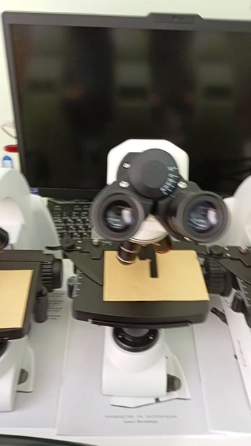 Микролаб микроскоп лабораторный