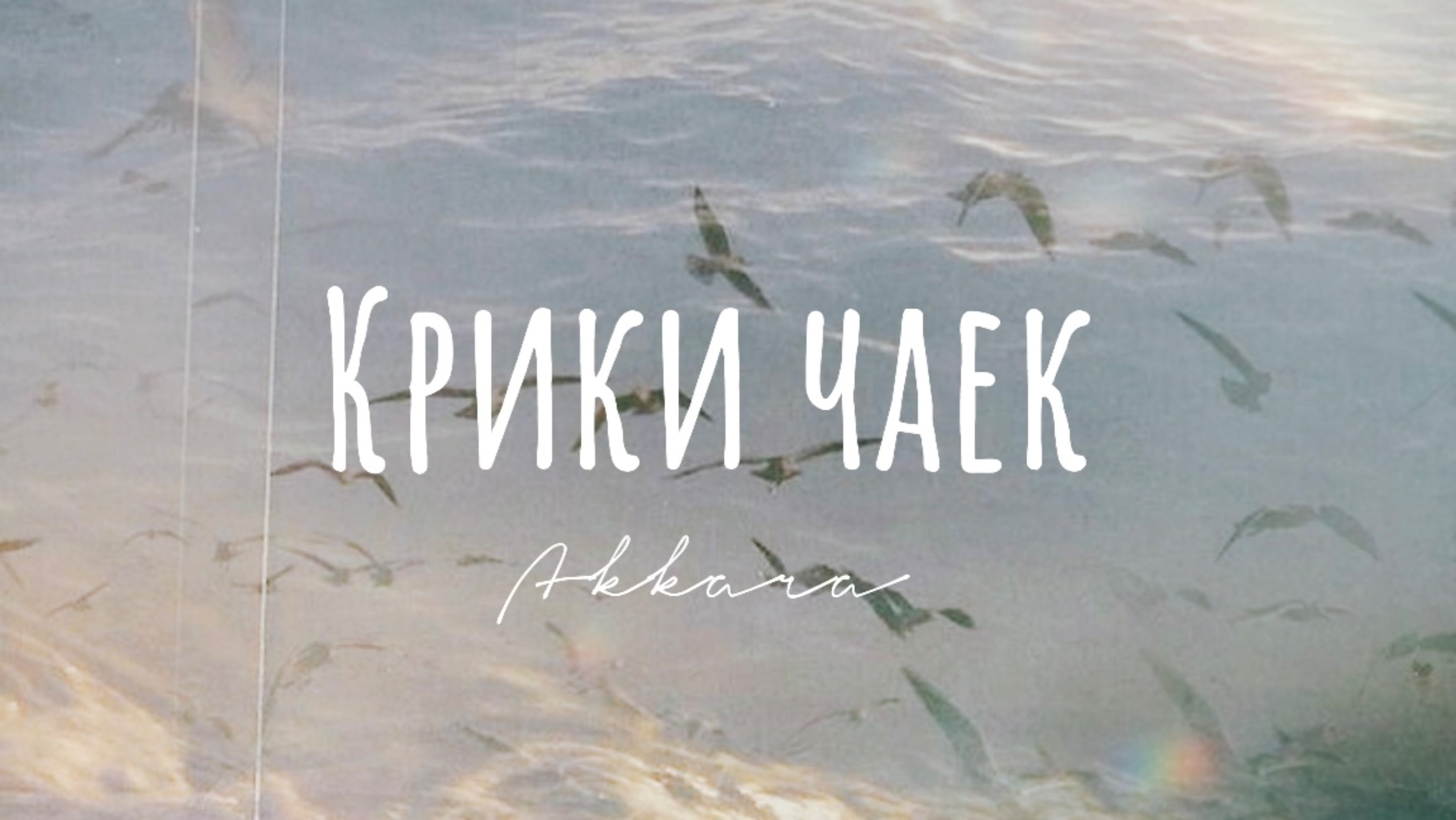 Стихотворение «Крики чаек»