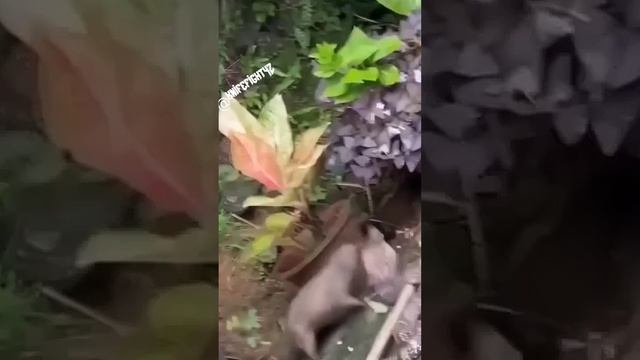 Твоя жизнь – это твой главный проект. И ты – его архитектор. Не позволь, чтобы тебя сломали.