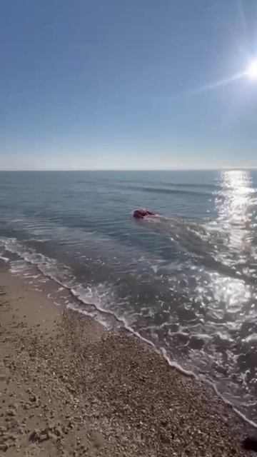 Испытание СЭНДИ на море