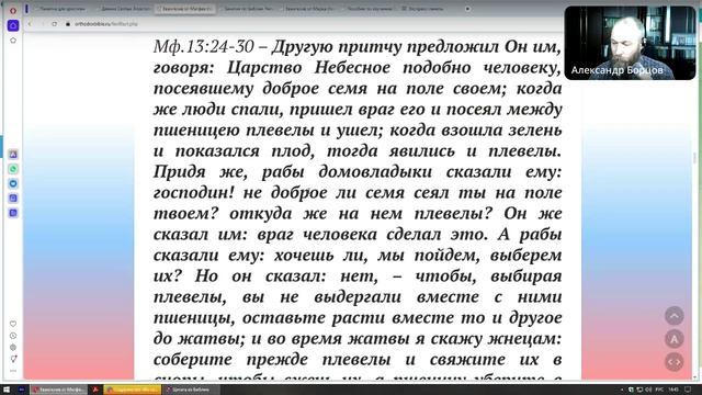 №47. Евангелие от Мф.13:22-33. Притча о пшенице и плевелах. Александр Борцов. 07.05.2025