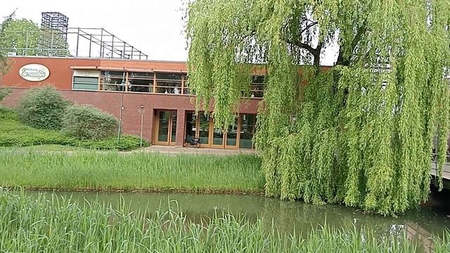 Кондак воспоминания явления на небе знамения Честного и Животворящего Креста во время Константина