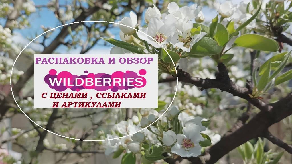 WILDBERRIES.Распаковка и обзор с ценами и артикулами