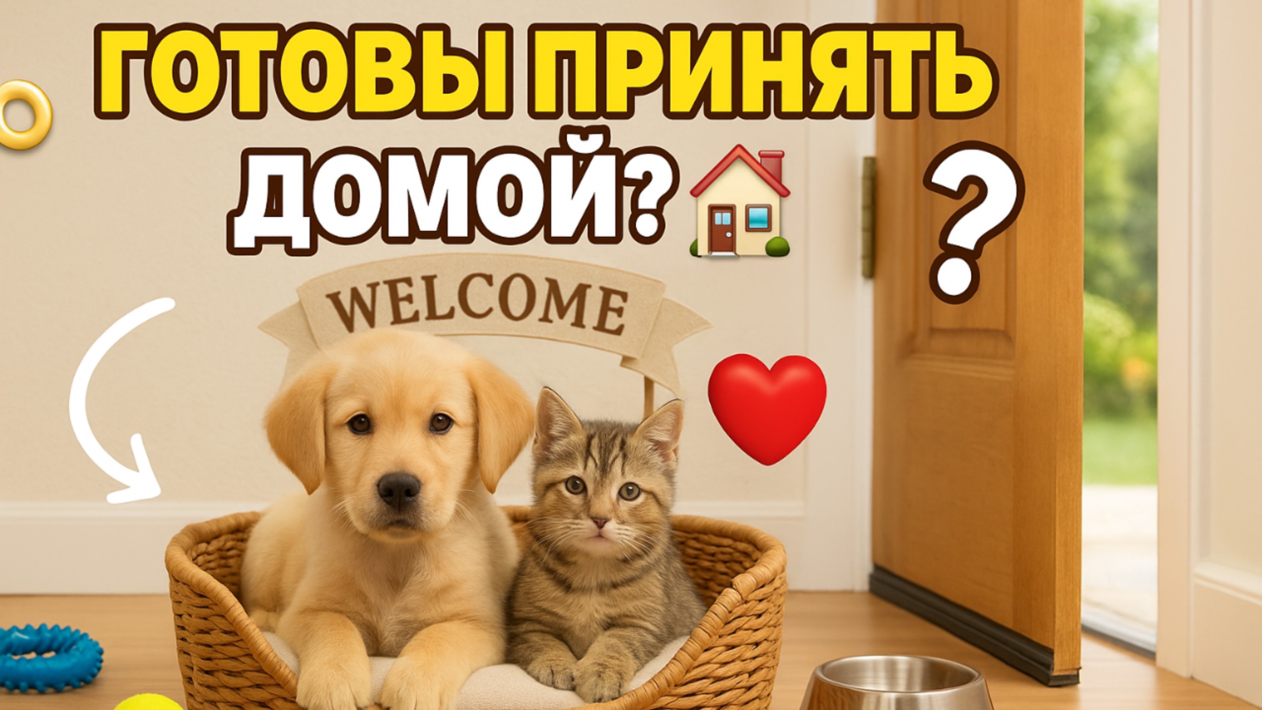 7 важных шагов для успешного усыновлению питомца в ваш дом !