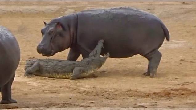 Разборки у реки 2025. Битвы за Территорию