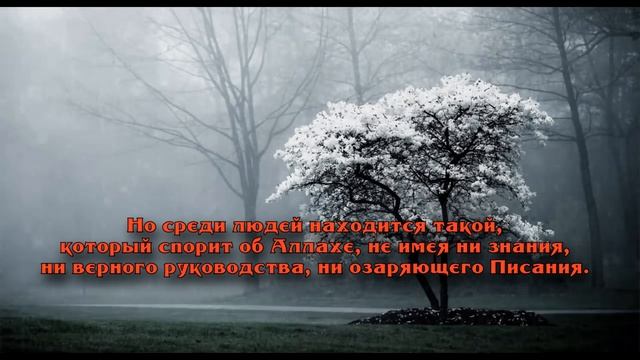 Красивое чтение Корана с (Переводом)
Сура Лукман
Чтец: Ислам Субхи