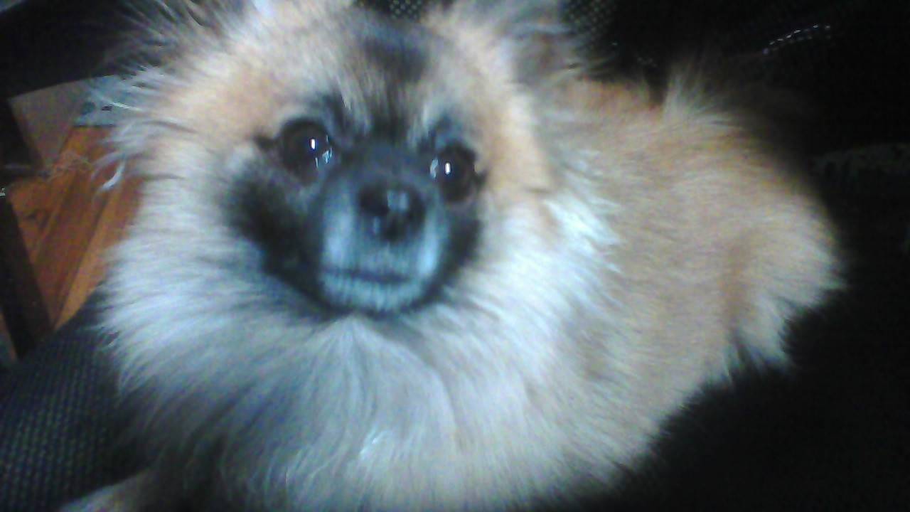 ✅Я  и мой друг строим город под землёй 
2 часть смотрите до конца!!