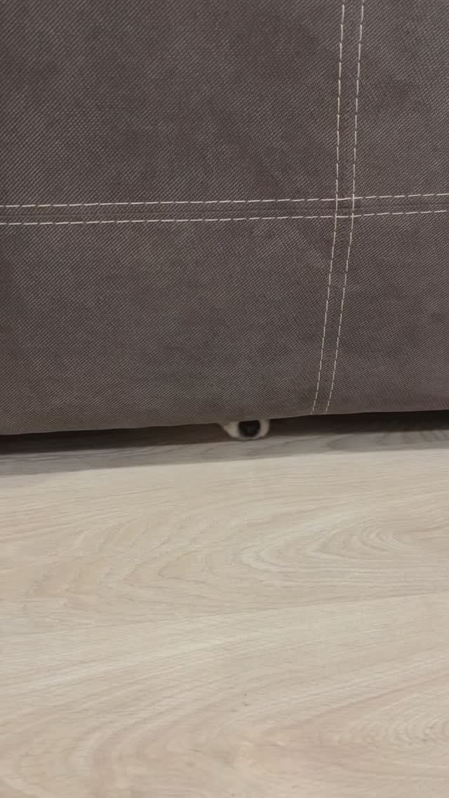 Решится ли Бася покинуть свою крепость?