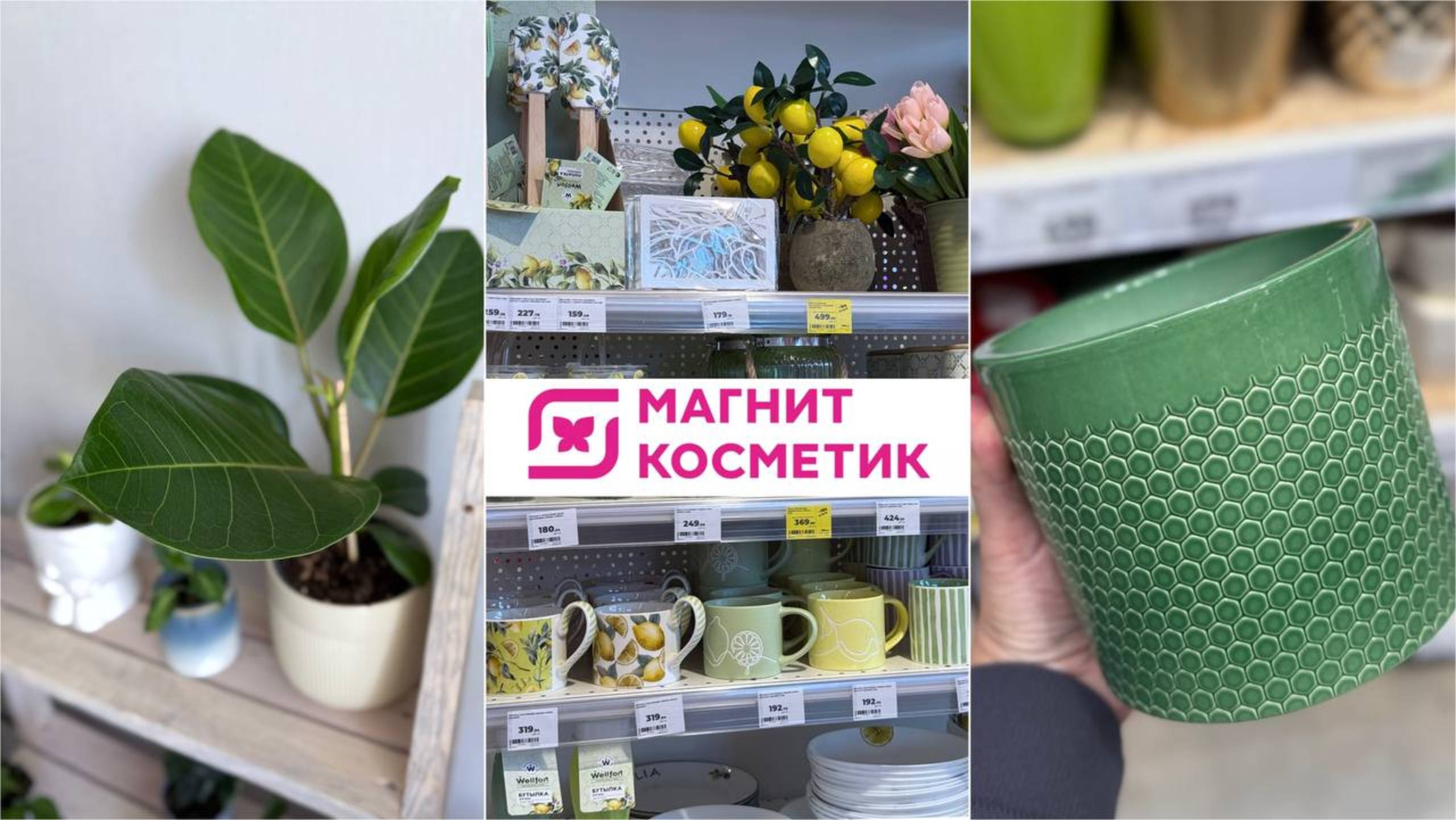 💕МАГНИТ КОСМЕТИК 💕 УТАЩИЛА КРАСОТКУ В КОЛЛЕКЦИЮ 🥰Обзор Магнит Косметик, БауЦентр и мои покупки🪴