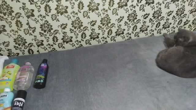 Очень много покупок и заказов, 1 часть.