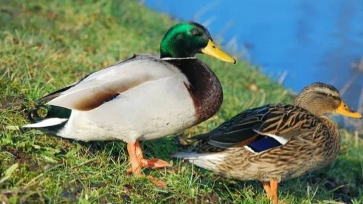 Любовные истории😄