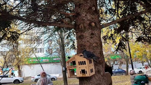 Белочка / Улица Стара-3агора