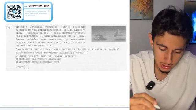 Морские моллюски гребешки, обычно спокойно ежащие на дне, при приближении к ним их главного - №20267