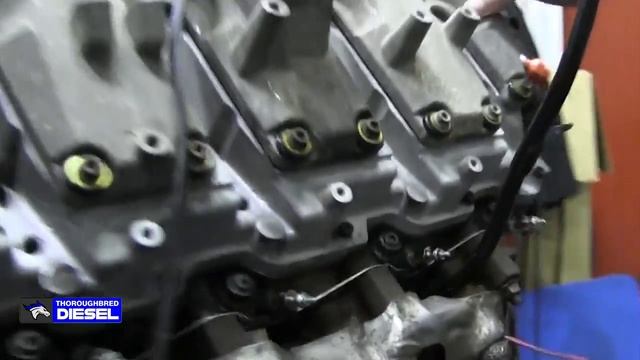 В дизельных грузовиков необходимо знать о шнуре нагревателя блока цилиндров Thoroughbred Diesel