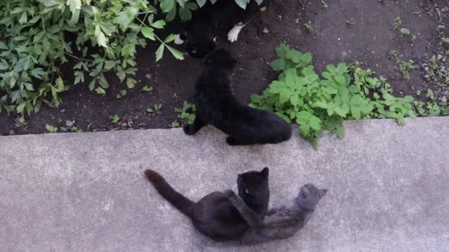 Разошлись с миром.