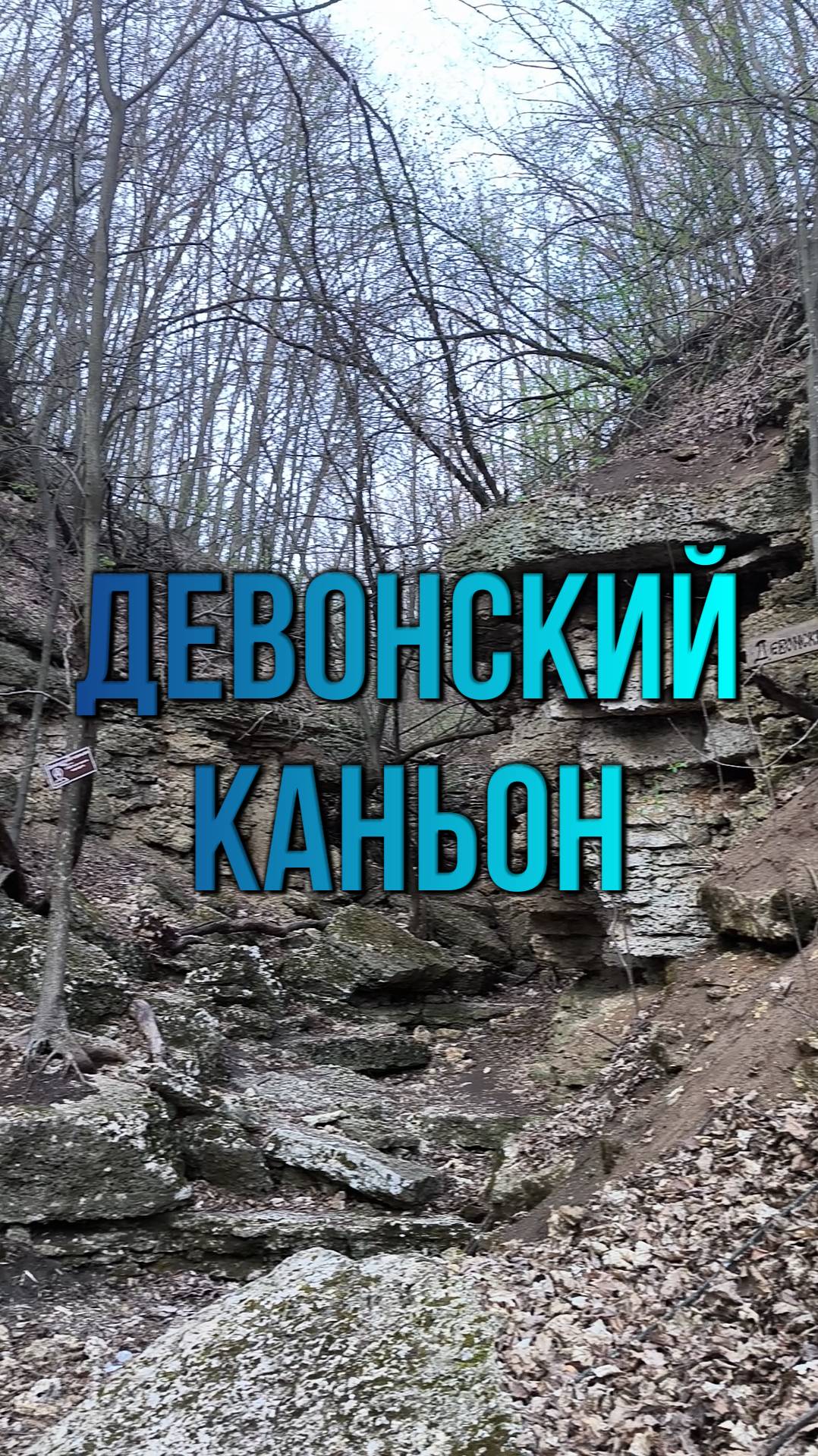 Девонский каньон. Аргамач-Пальна