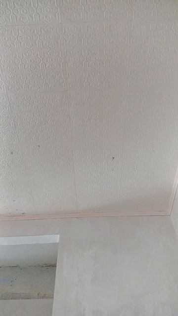 ко ко ко!!! Ай!