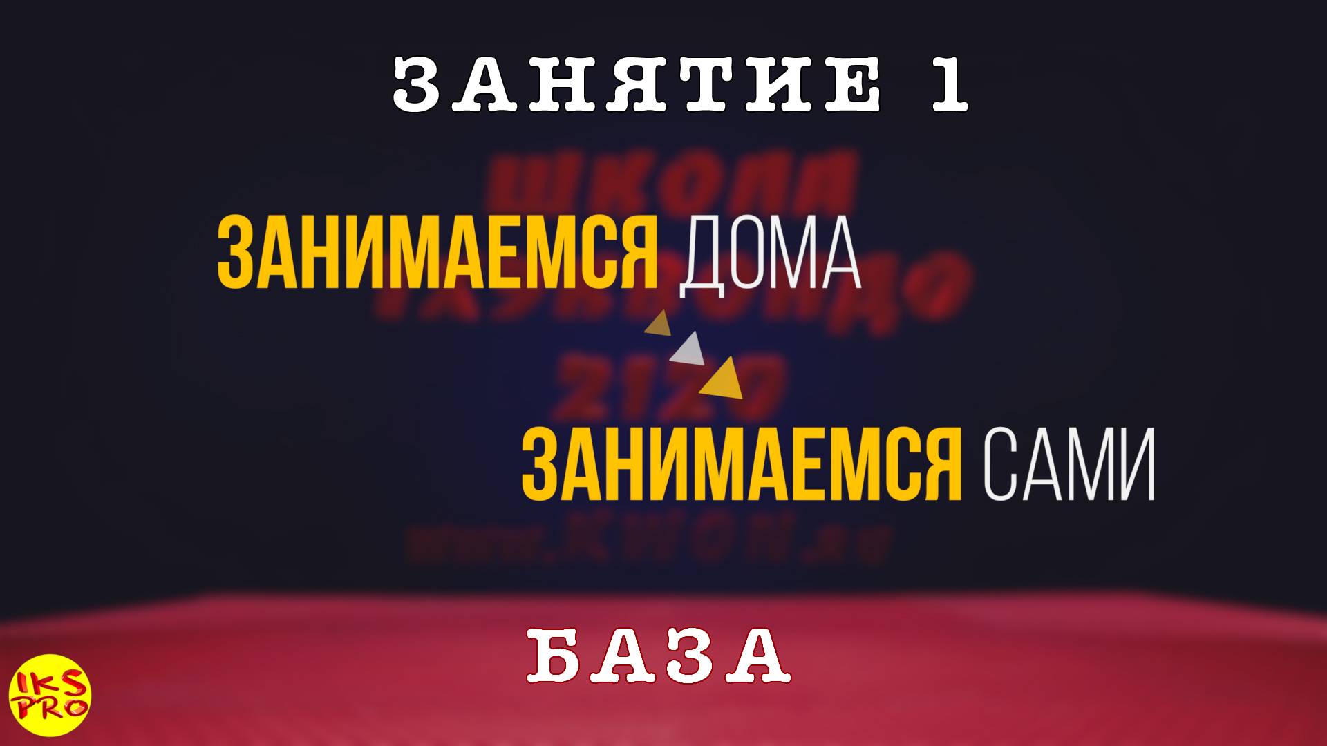 Онлайн тренировка Тхэквондо №1
